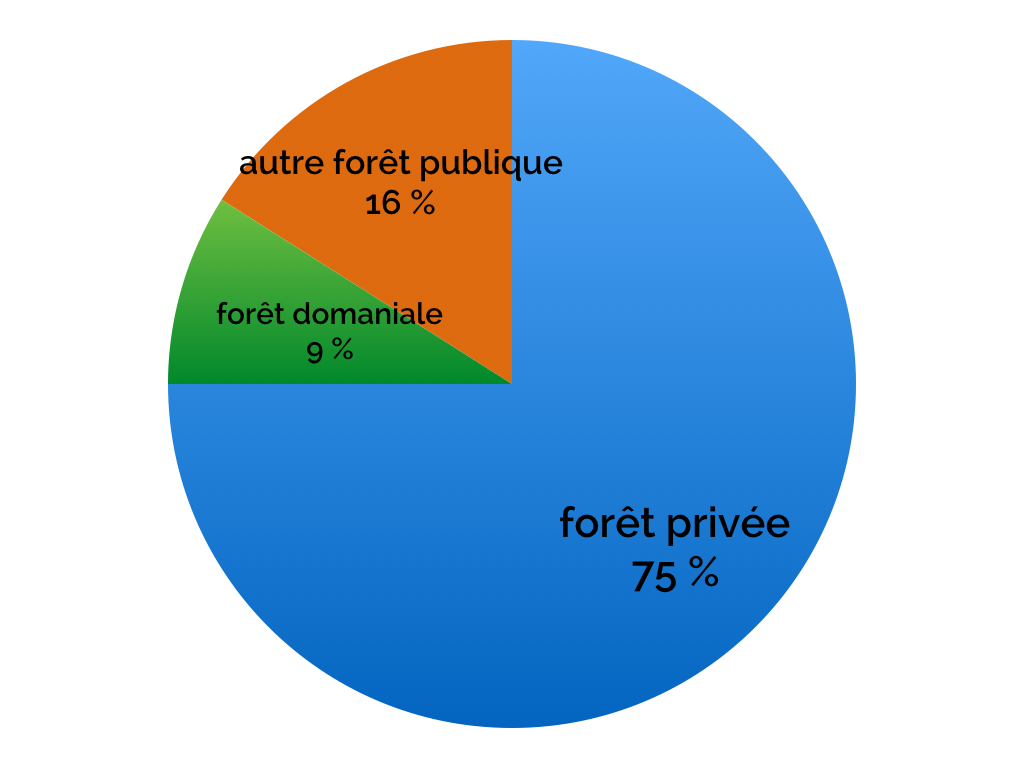 La forêt française en chiffres – France Bois Forêt