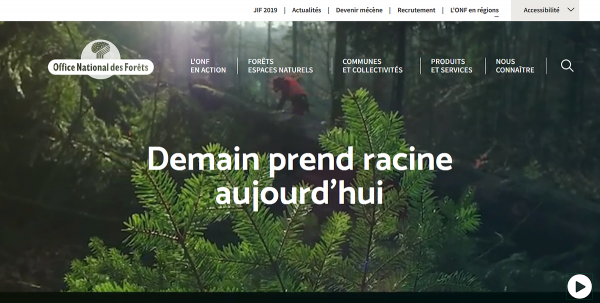 Un nouveau site internet pour l'ONF - France Bois Forêt