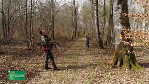 ONF-Agir pour la forêt - France Bois Forêt