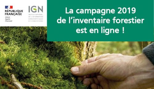 La campagne 2019 de l'inventaire forestier est en ligne ! - France Bois ...