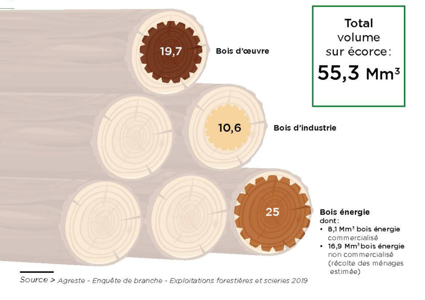 Le bois et ses usages - France Bois Forêt