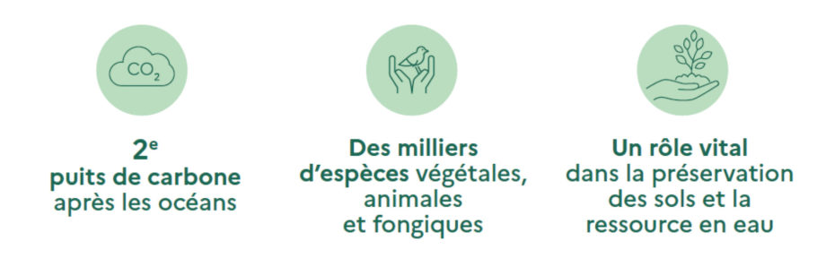 Le label bas carbone, une nouvelle offre de l'ONF - France Bois Forêt