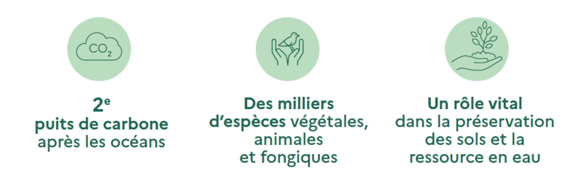 Le label bas carbone, une nouvelle offre de l'ONF - France Bois Forêt