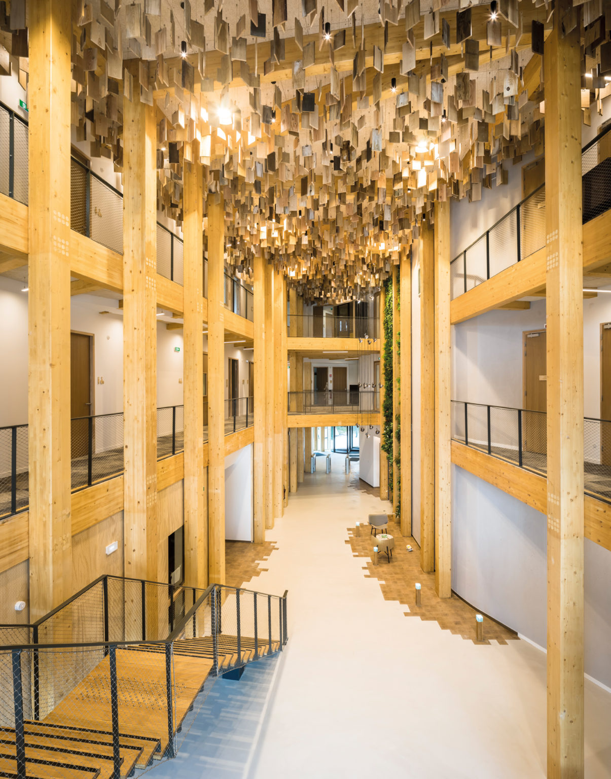 Le nouveau siège de l’ONF révèle la forêt aux portes de Paris - France ...