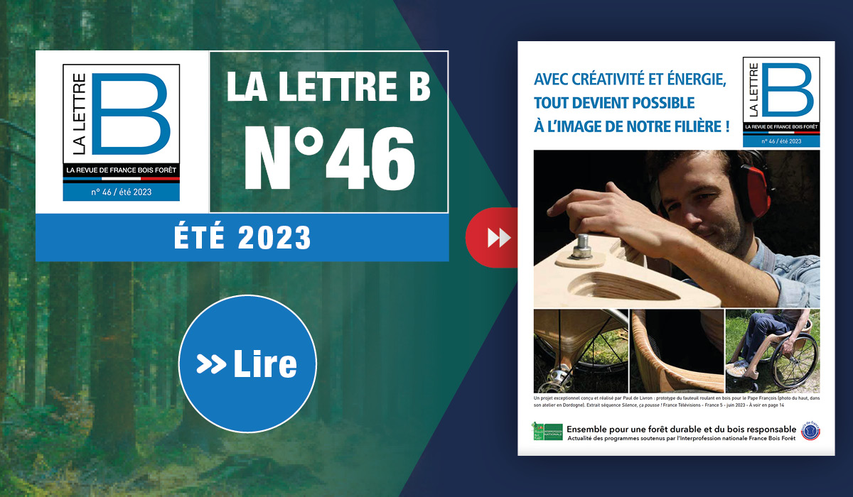 La Lettre B numéro 46 - France Bois Forêt